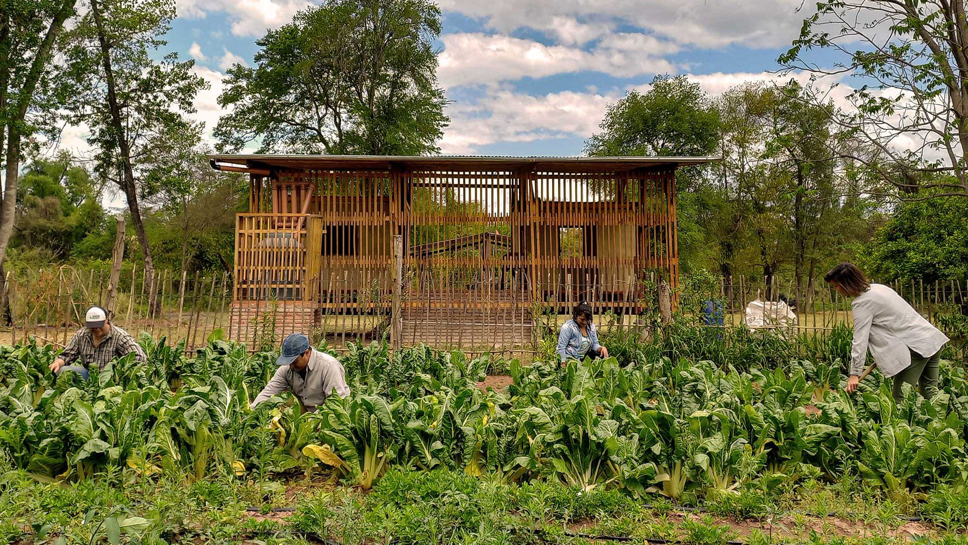 Community Added Value Center | ammodo architecture